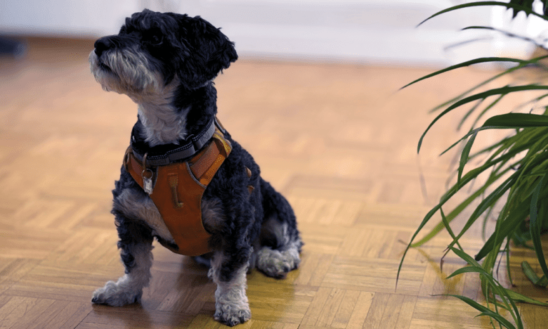 Über uns - Complan & Partner - Kompetenz in Organisation und Software